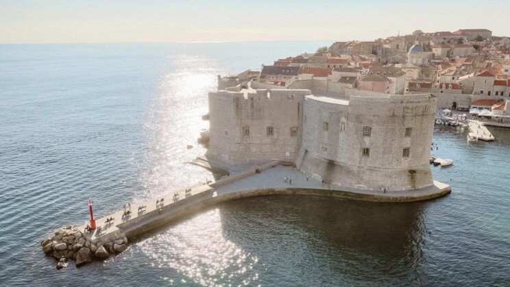 Are There Sharks In Croatia? Yes, But... | Life And Ventures