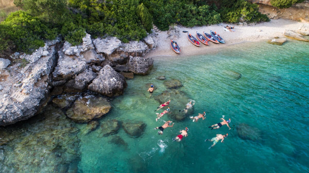 Are There Sharks In Croatia? Yes, But... | Life And Ventures