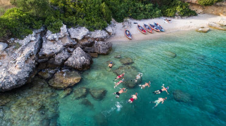 Are There Sharks In Croatia? Yes, But... | Life And Ventures