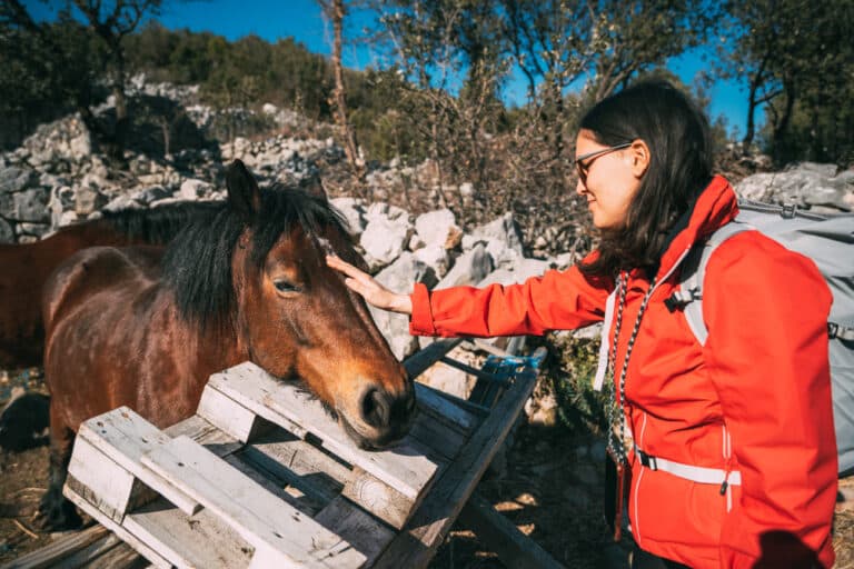 How To Say Hello In Croatian: A Fun Guide To Croatian Greetings | Life ...