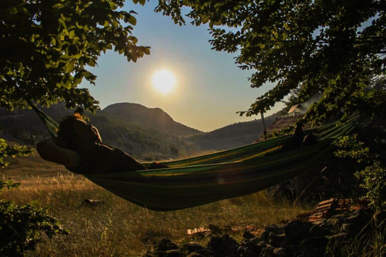 Dangerous Snakes In Croatia: All You Need To Know | Life And Ventures