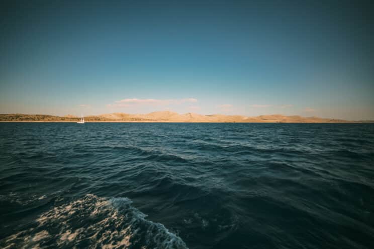 Are There Sharks In Croatia? Yes, But... | Life And Ventures